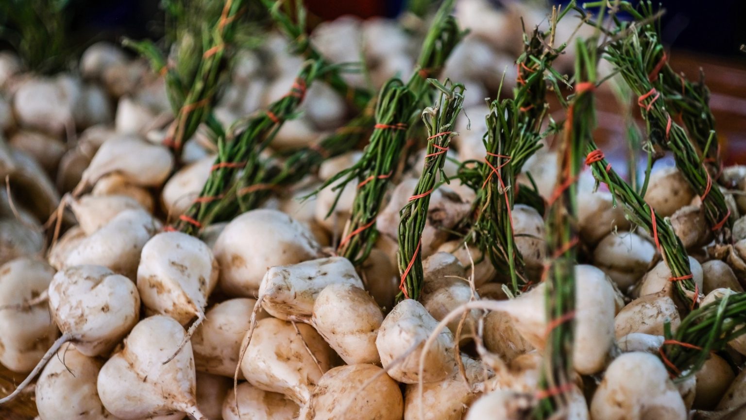 Yam Mexicano: Para que serve? - Blog MedicinalnaWeb